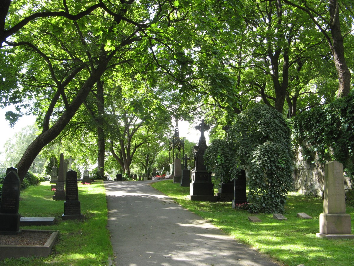 Ordførerens tale – Marcus Thrane-Dagene